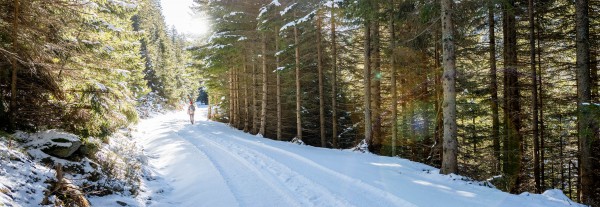 Winterwandern am Stuhleck | Stuhleck