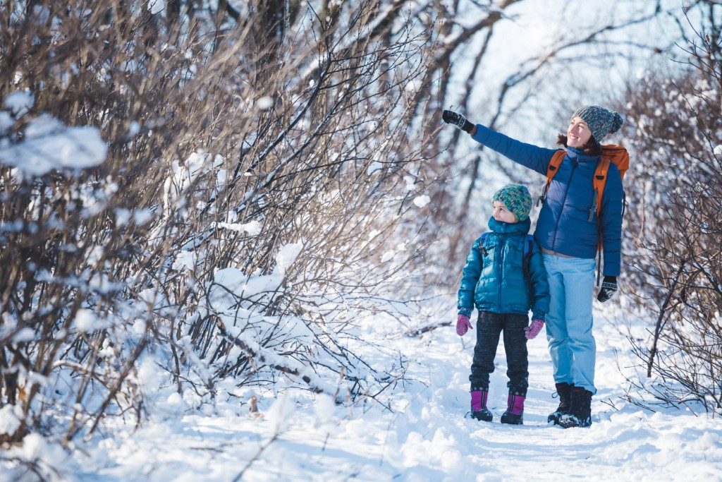 Winterwandern am Stuhleck | Stuhleck
