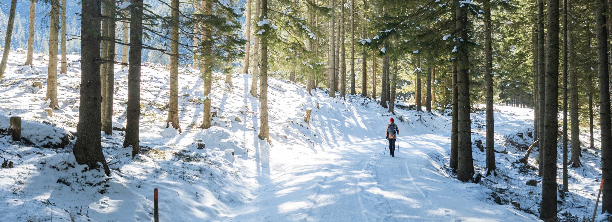 Stuhleck – Nah genug für jeden freien Tag!